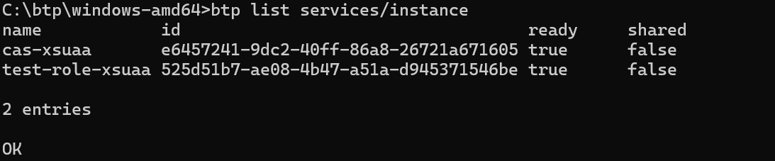 [初心者向け] BTP CLI コマンドのはじめかた - SIer Station
